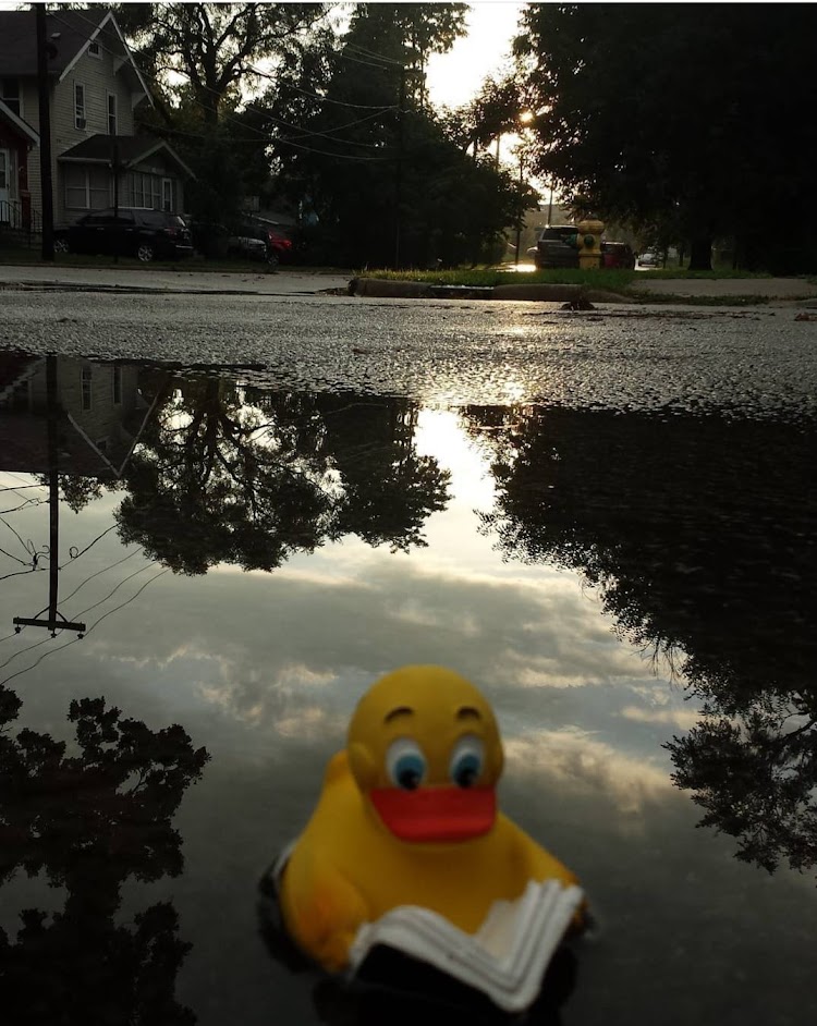 Photo Gallery – Grey Dolan