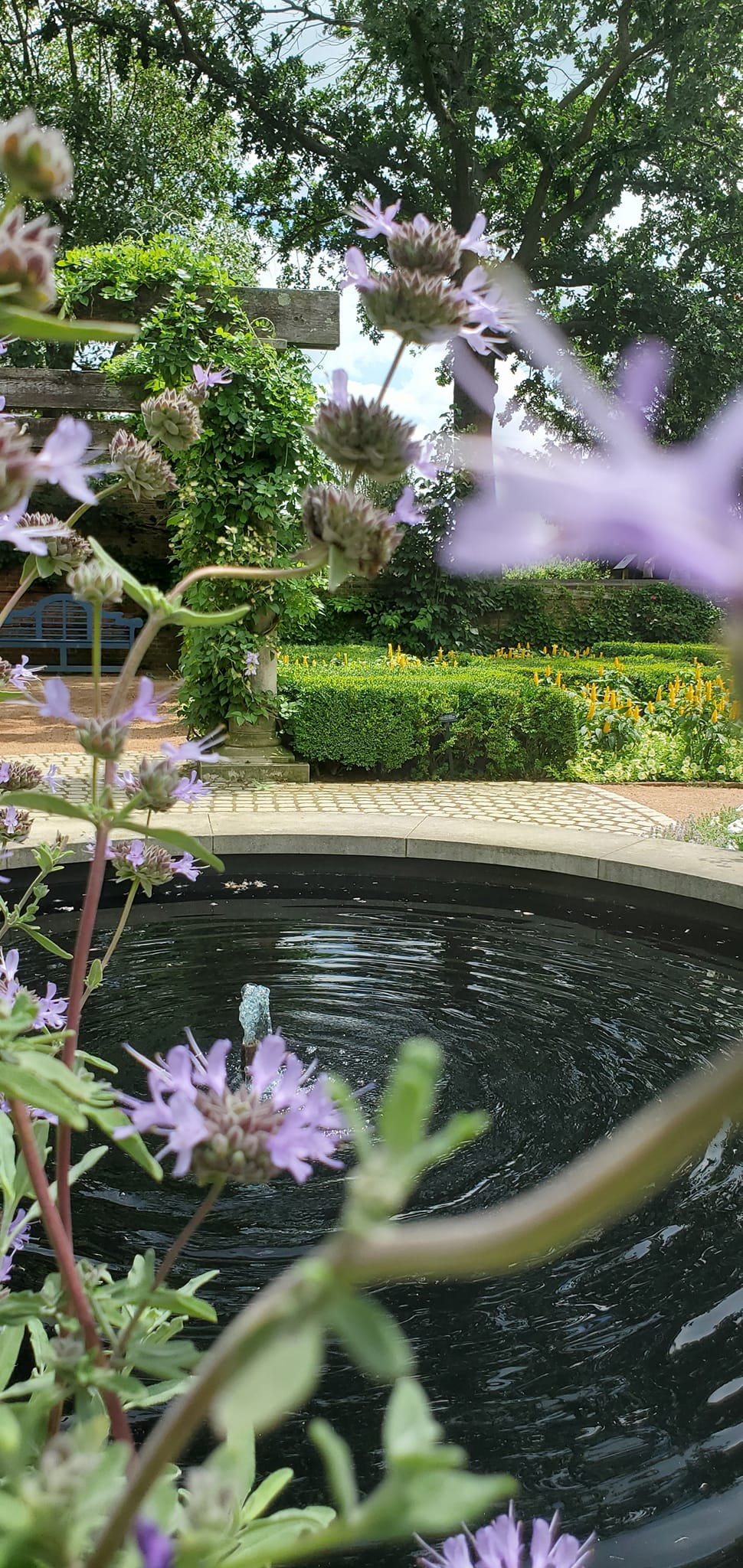 Photo Gallery – Grey Dolan