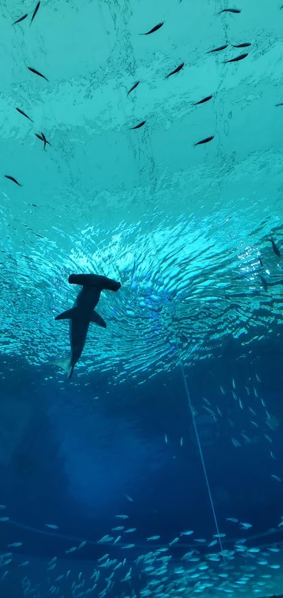 Photo Gallery – Grey Dolan