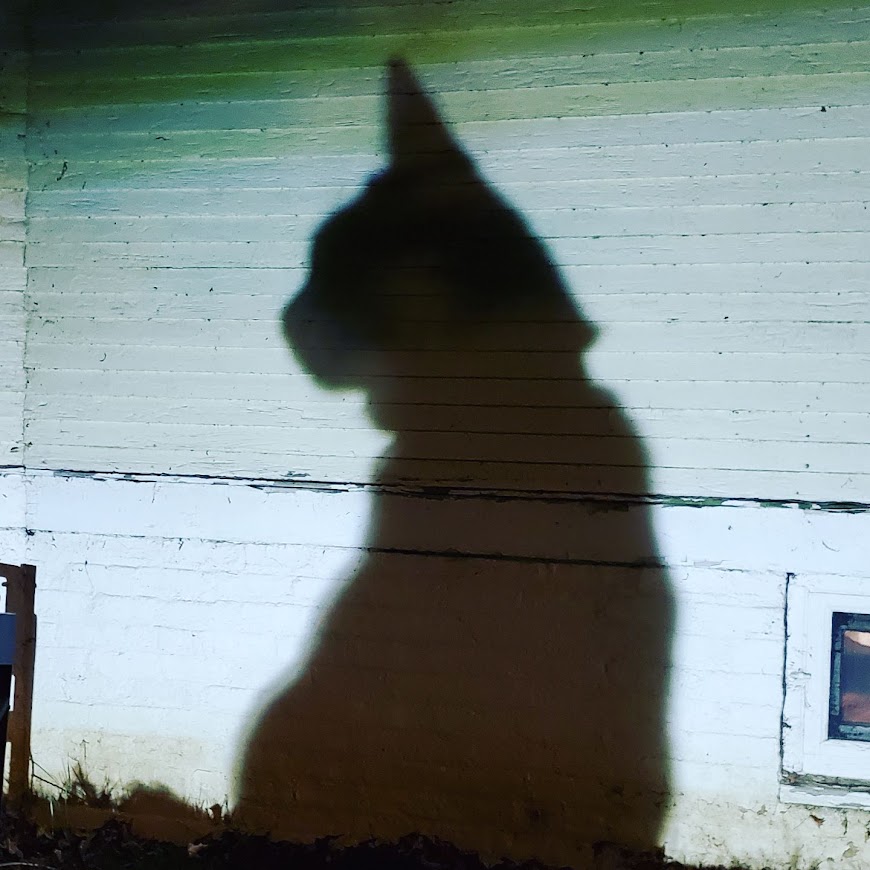 Photo Gallery – Grey Dolan